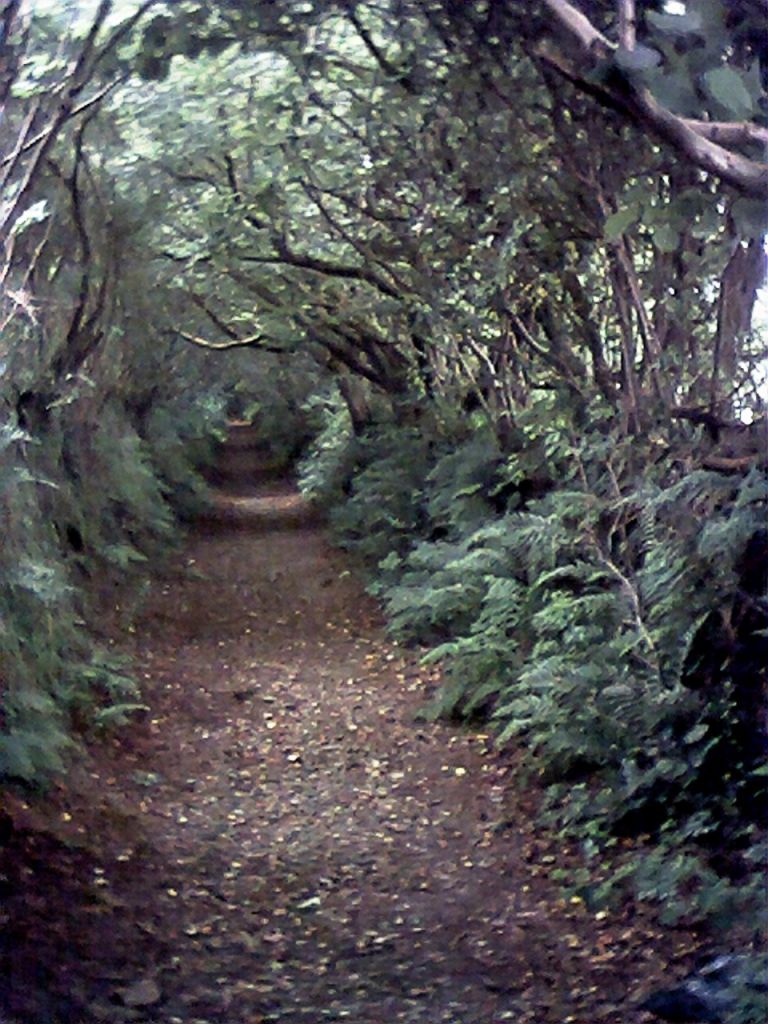 Locations - Nearly Wild Camping