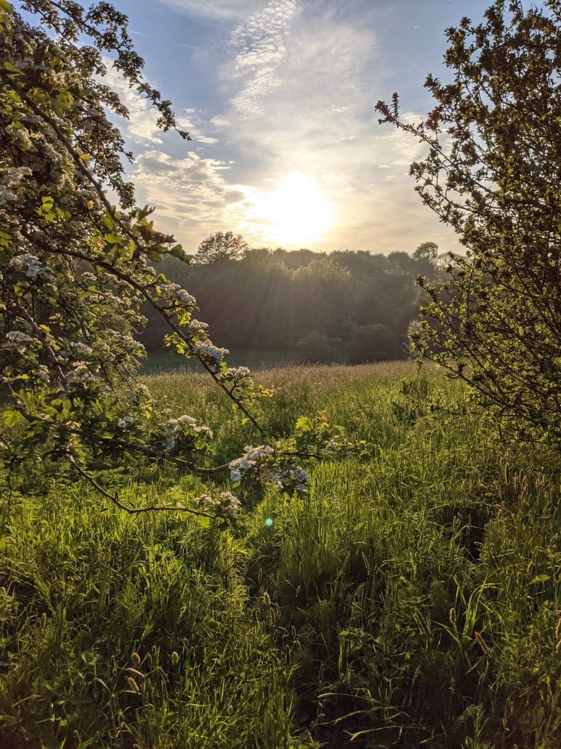 Nearly Wild Camping - Home - Nearly Wild Camping