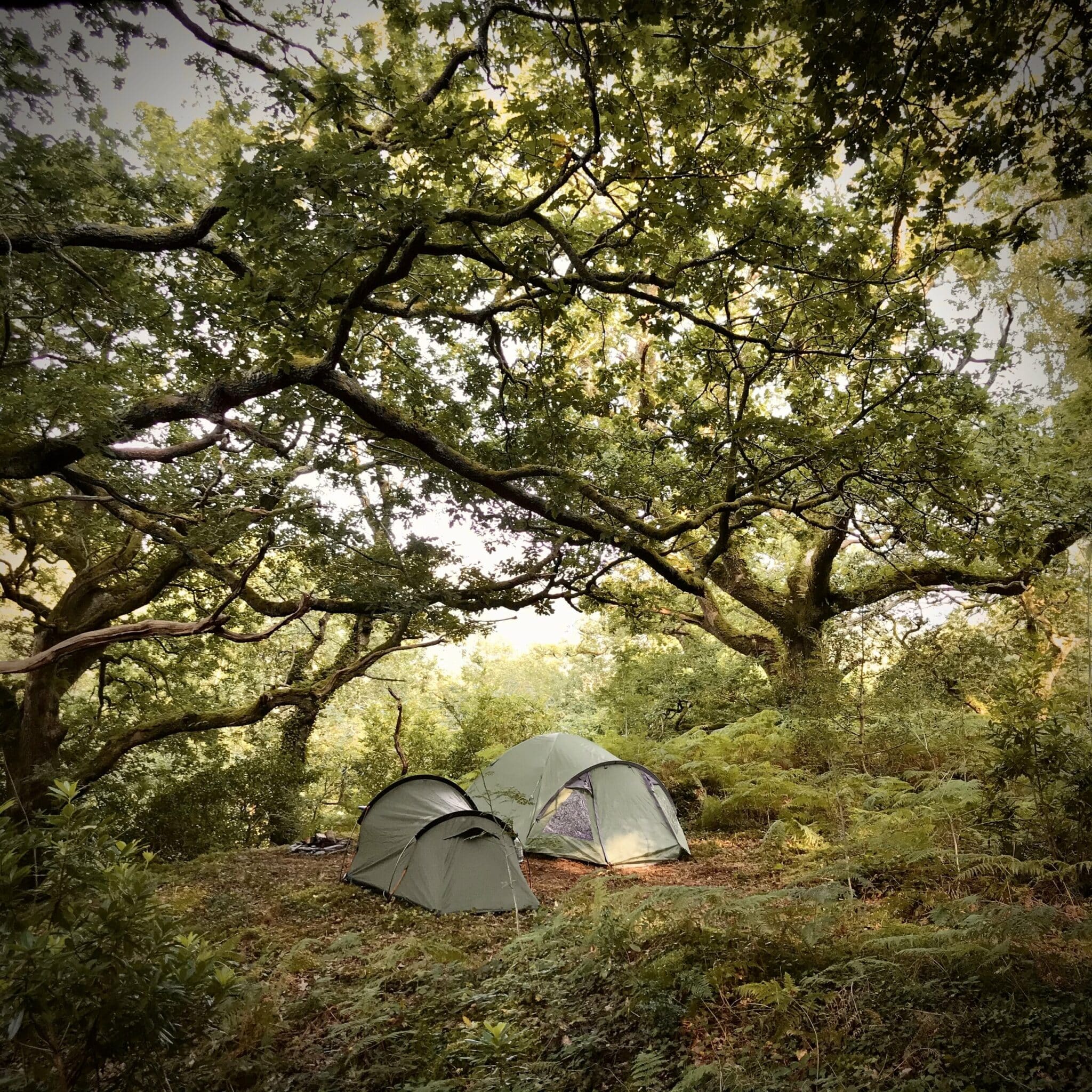 Nearly Wild Camping - Home - Nearly Wild Camping
